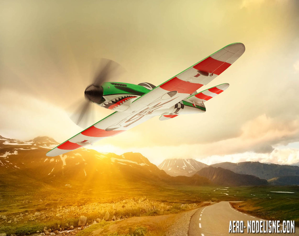 multiplex dogfighter - aero-modelisme.com